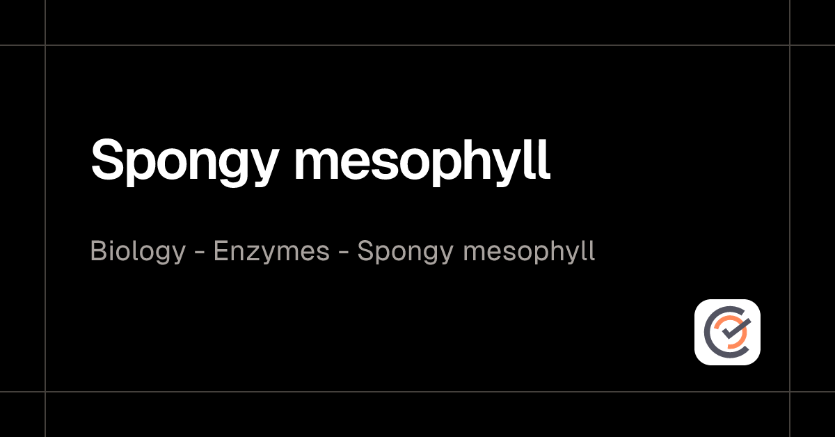 Spongy mesophyll